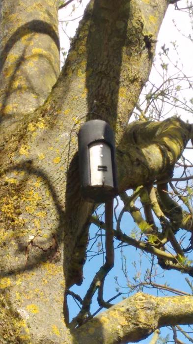 Historic Coventry Forum: Cheylesmore and Quinton Park